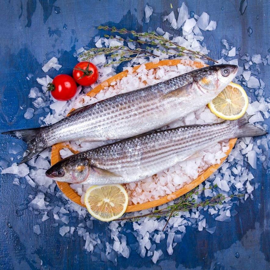 Черноморская кефаль: польза для здоровья | Новини